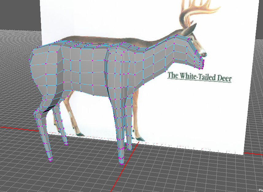 Sprint 1 – Modelling a deer Pt1 – Synoptic Project
